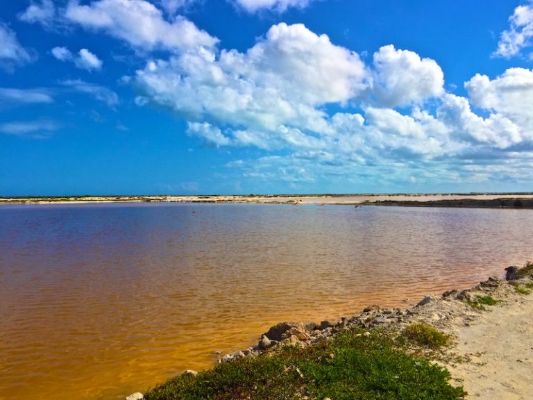 Road Trip Yucatan: The Pink Lagoon at Las Coloradas and Tizimin : Olive ...