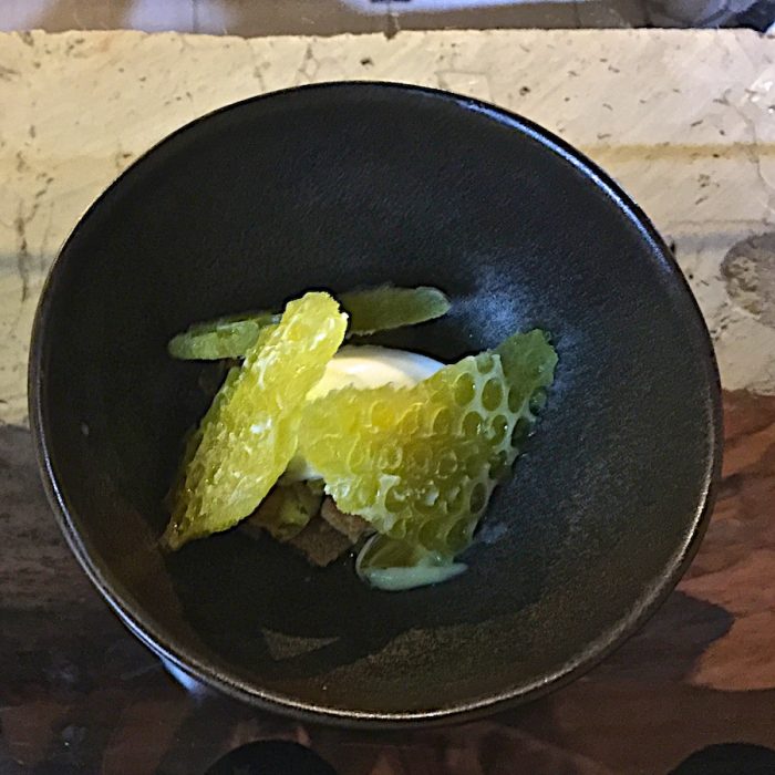 Yucatan road trip to Merida: Mansion on the Park, Nectar restaurant ...