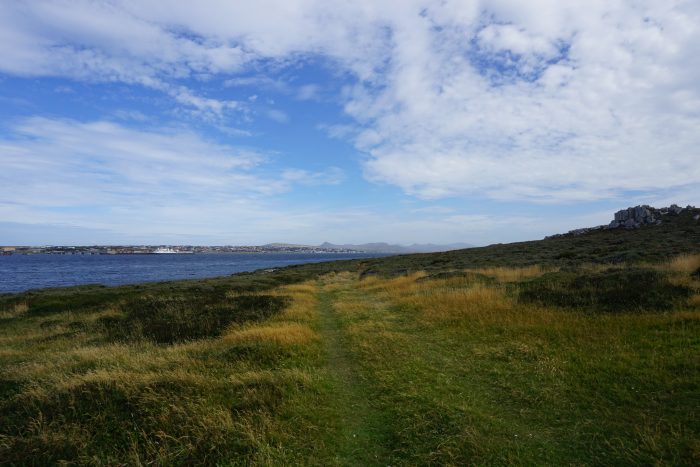 Falkland Islands : Olive Oil and Lemons | Dina Honke